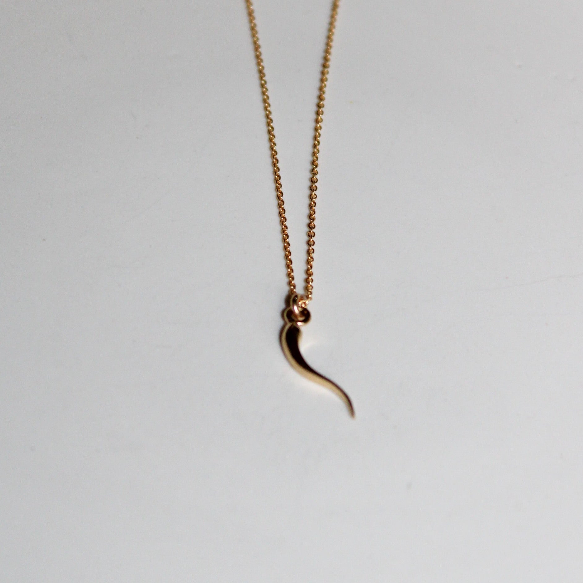 Italian Horn Necklace – ROMY PETRA